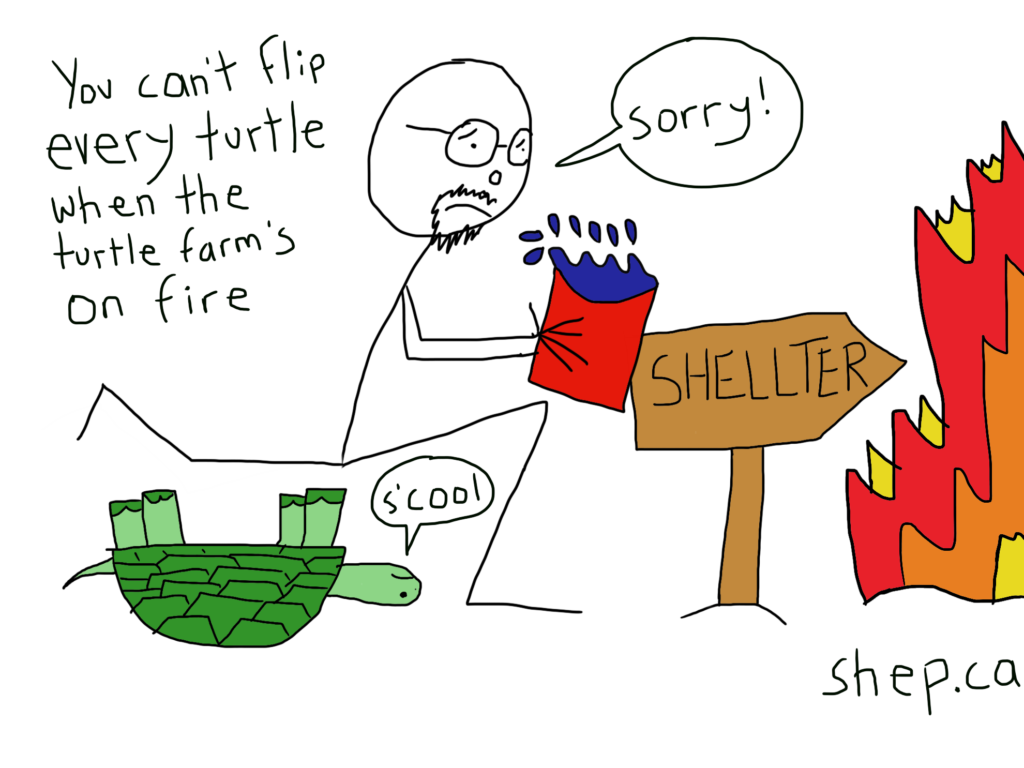 You can’t flip every turtle when the turtle farm’s on fire – shep.ca